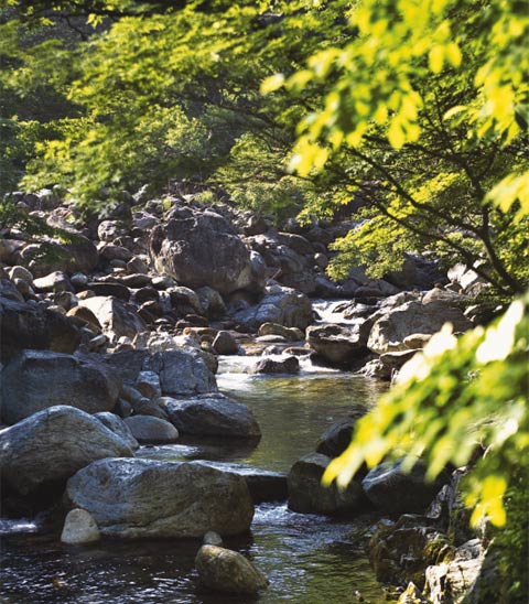 [지리산 계곡에 들다] 뱀사골
