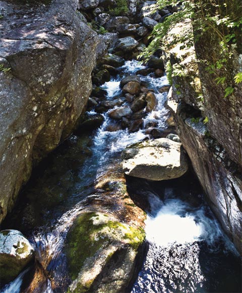 [지리산 계곡에 들다] 뱀사골