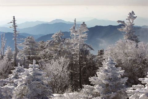 [시즌특집] 겨울 지리산 설경 화보