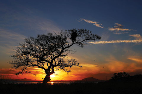 [연재ㅣ지리산 시인 이원규의 山房閑談 30] 담배를 끊고 여자만 붉은 노을 바라보다