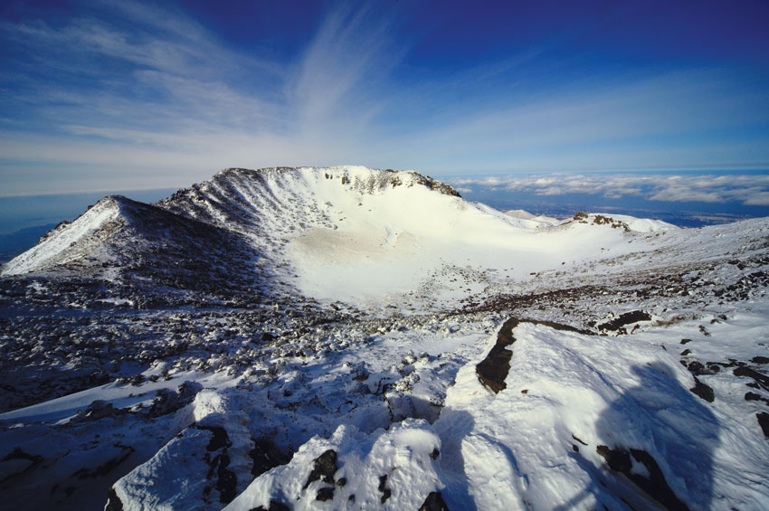 [크리스마스트리 가이드 | 제주도 한라산] 켜켜이 쌓인 눈이 자아내는 이국 풍경이 압권