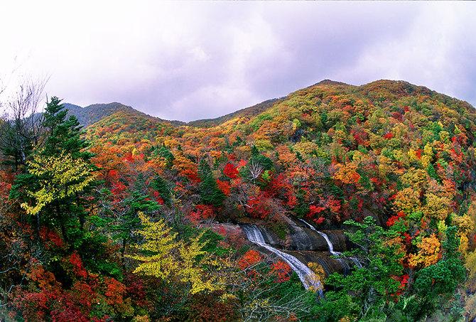 [기록에 전하는 단풍 명산 | 3선 가이드| ①지리산] 산도 붉고,물도 붉고,사람도 붉은… 삼홍소의 원조 피아골 단풍