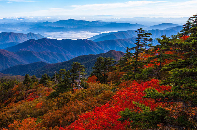 [기록에 전하는 단풍 명산 | 3선 가이드| ①지리산] 산도 붉고,물도 붉고,사람도 붉은… 삼홍소의 원조 피아골 단풍