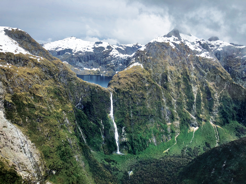 [나홀로 세계일주:뉴질랜드 밀포드 트랙] 반지의 제왕, 그 숲을 걷다