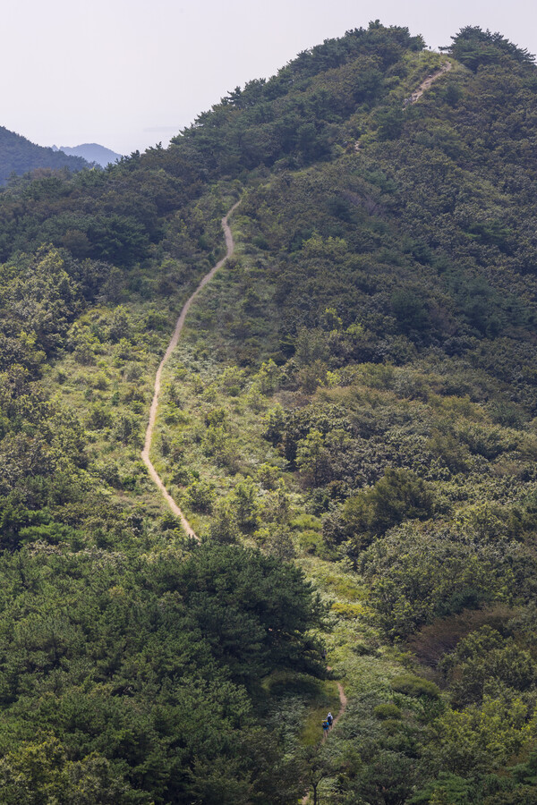 [초보기자의 초강수] 금정·백양산 아우르는 27km 도시와 바다의 매력 모두 갖춰