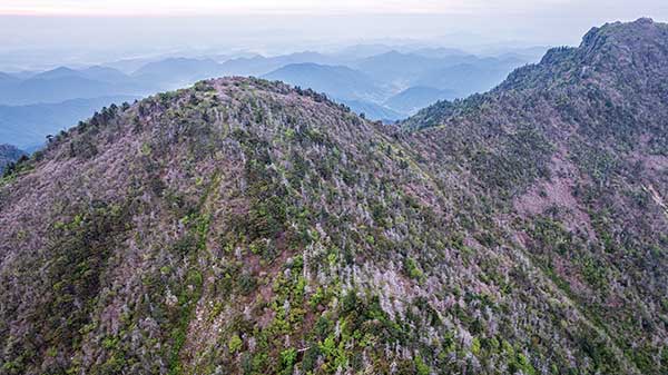 [지리산 비법정 동부능선] 태극종주 품은 천하절경… 생태보존 가치 높아